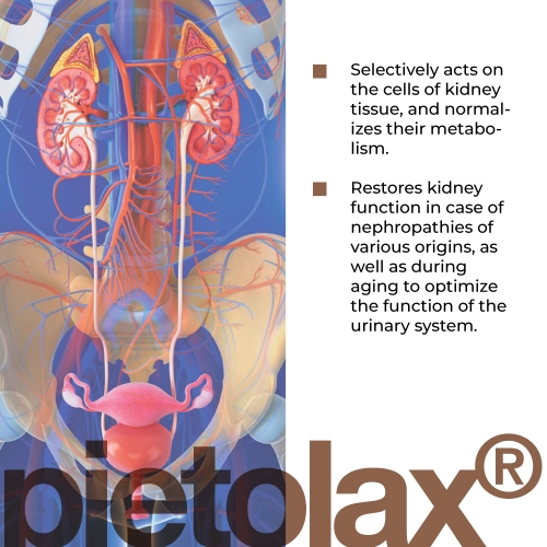 Nephro 180 Peptides for urinary system - NATURAL PEPTIDES - Citomaxes ...